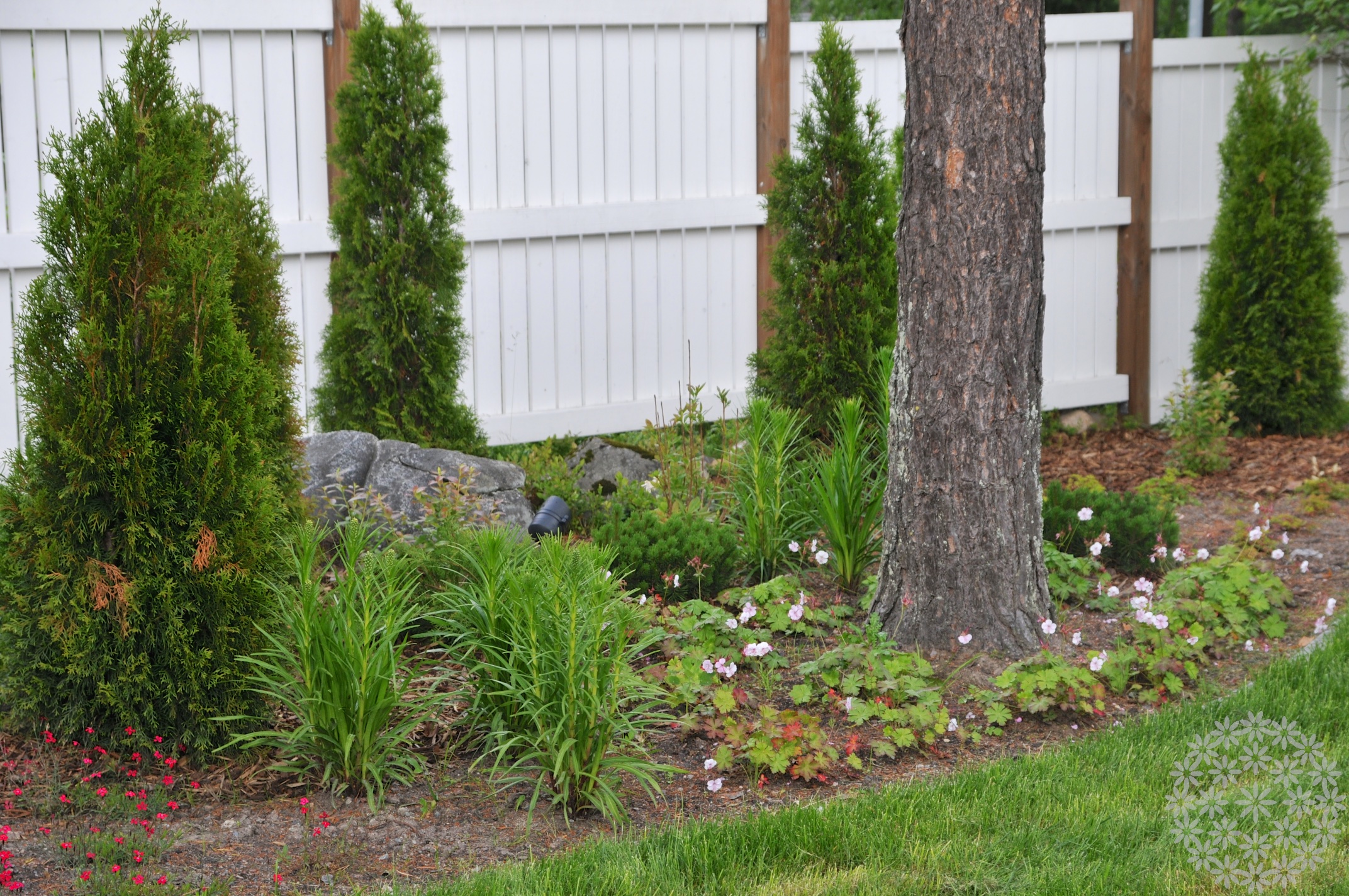 Jalkapallonurmi rinnepihalla - Puutarhasuunnittelu Puksipuu